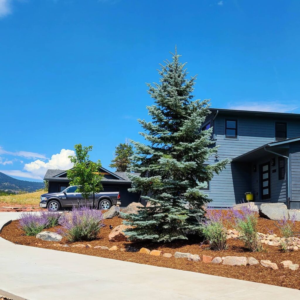 Gallery - Northern Colorado Landscaping