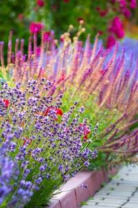 Landscape Design - Northern Colorado Landscaping