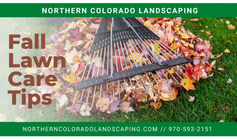 Colorado Fall Lawn Care Tips - Northern Colorado Landscaping